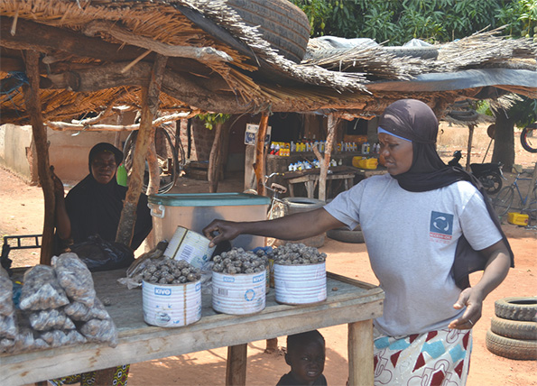 Biotechnologie alimentaire : le soumbala, la moutarde africaine aux ...