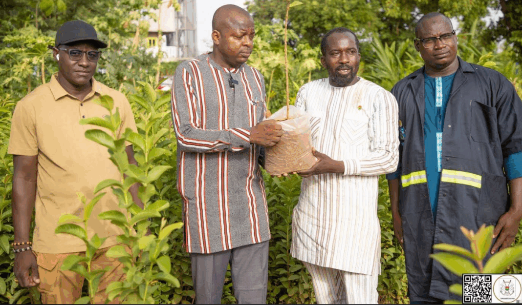 Campagne nationale de reforestation 2025: le promoteur du CFP-MEB offre ...
